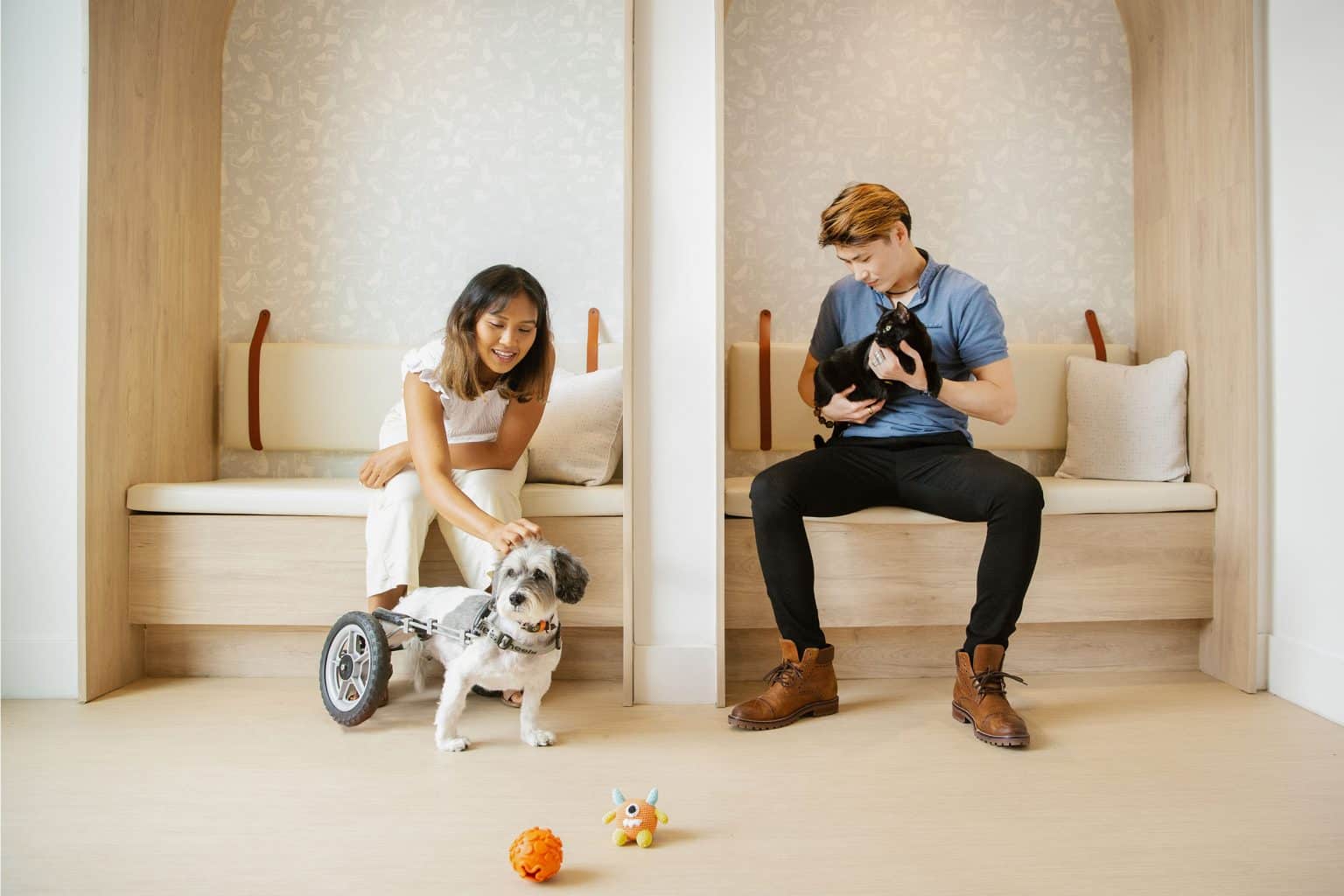 Small Door Veterinary: The Practice That's Changing the Face of Pet Care