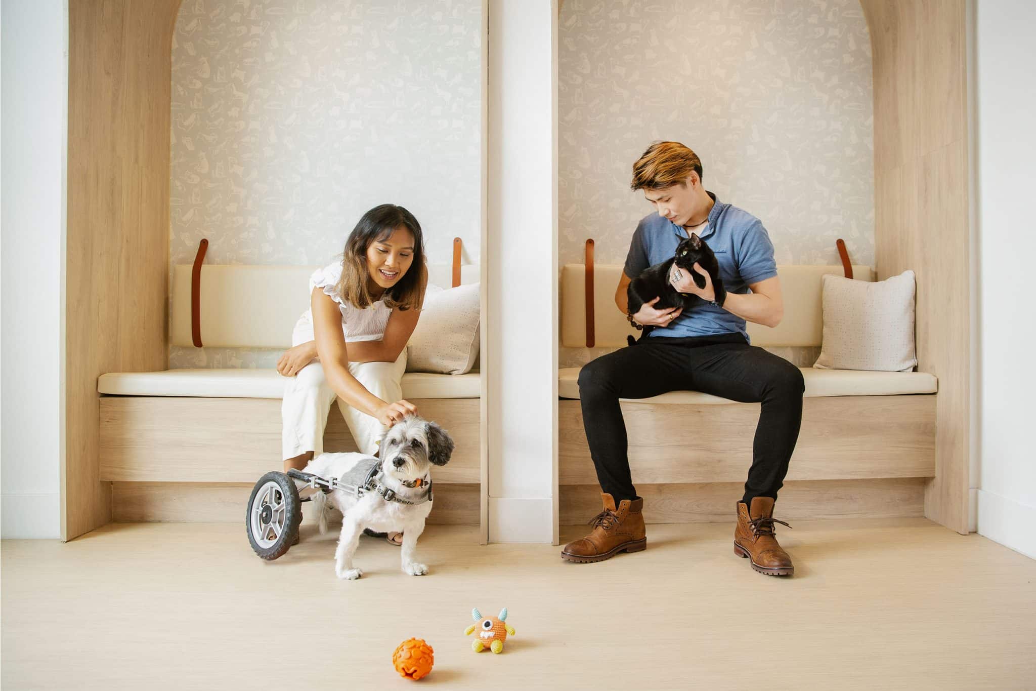 Small Door Veterinary: The Practice That's Changing the Face of Pet Care