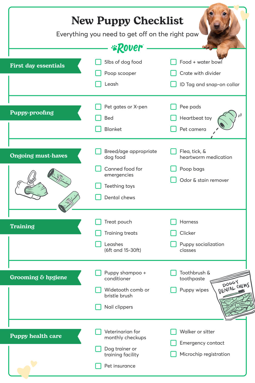 Puppy Supplies List: Essentials, Gear, Services & More