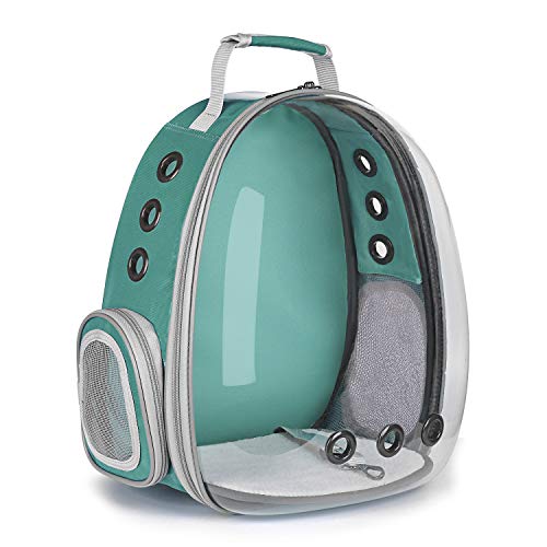 The 10 Best Cat Backpacks for Bringing Your Friend Wherever You Go