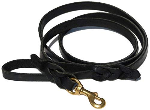 Leashes for Big Dogs | The 17 Best Leashes To Walk Your Lovable Giant