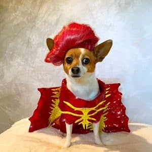 Doggie Drag Queen Rocks Costumes Inspired by 'RuPaul's Drag Race'
