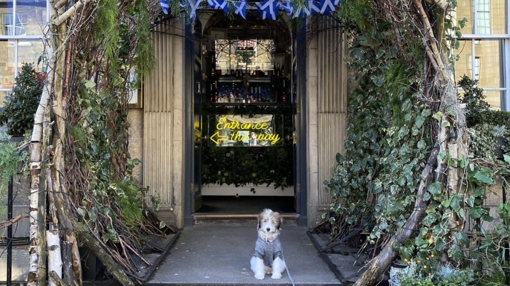 Top 8 Dog-Friendly Restaurants in Edinburgh | The Dog People by Rover.com