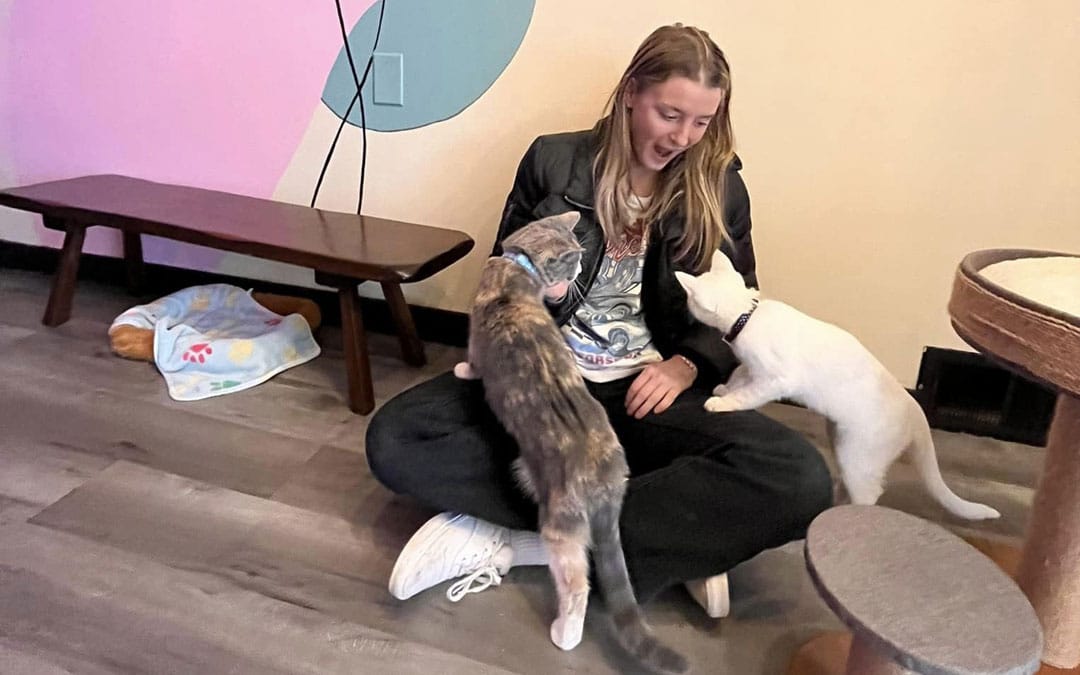 How Cats Can Help With Depression, Stress, Anxiety, and Mental Health