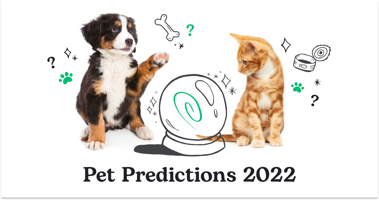 Rover's Pet Predictions for 2022