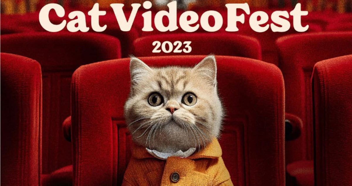 CatVideoFest Features Funny Feline-Focused Films to Help Kitties in Need