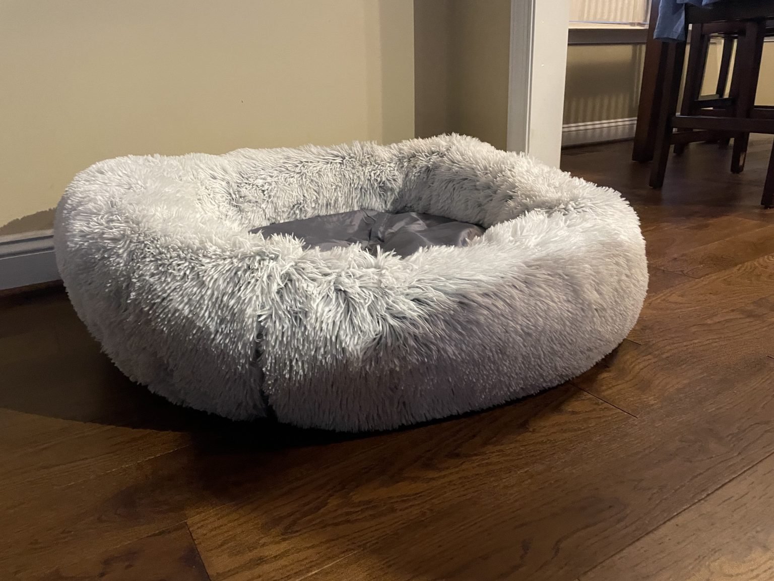 The Best Friends Calming Dog Bed Reviewed: Does It Really Work?