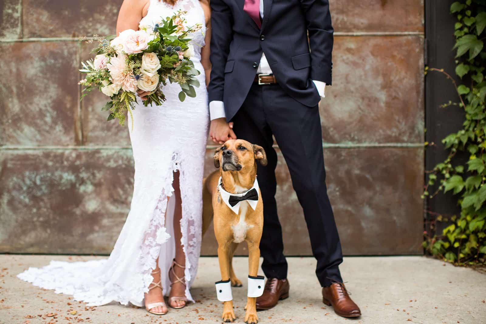 Cómo organizar una boda con perros exitosa: descubre los tips