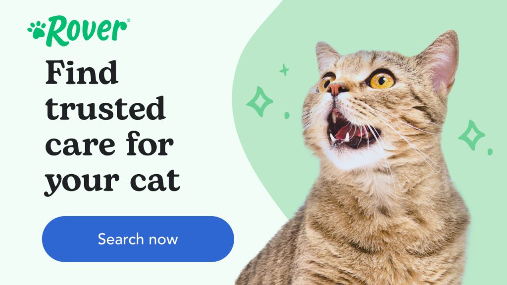 Everything You Need to Know About the Snowshoe Cat Breed