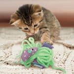 The 9 Best String and Ribbon Toys for Yarn-Loving Cats