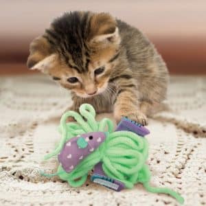 The 9 Best String and Ribbon Toys for Yarn-Loving Cats