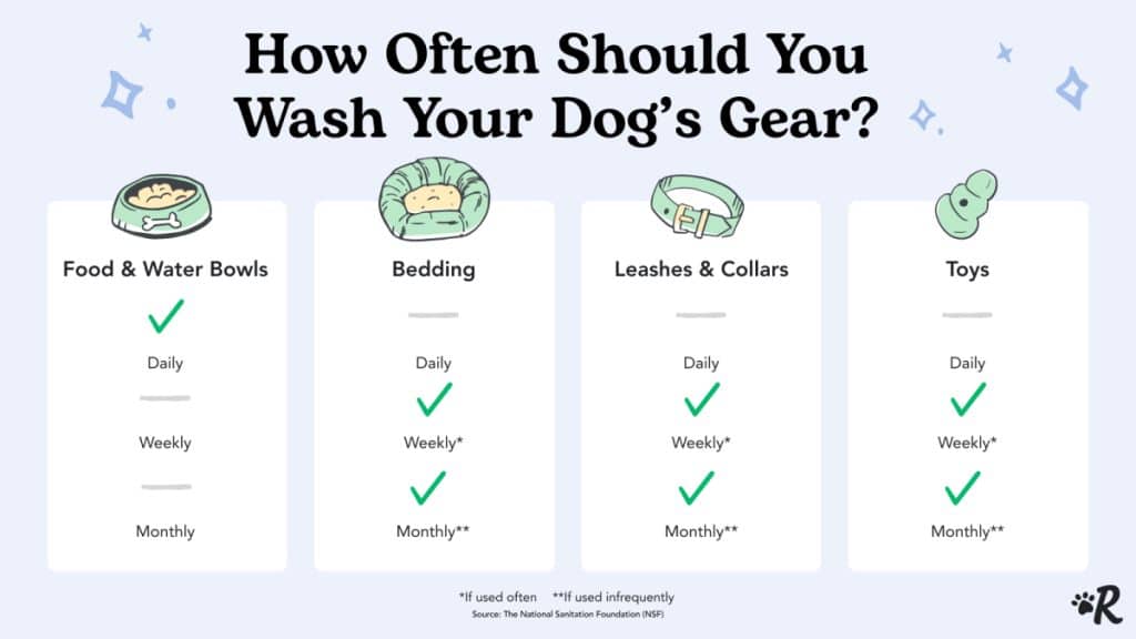 How to Wash Dog Toys and Gear So That They Actually Get Clean