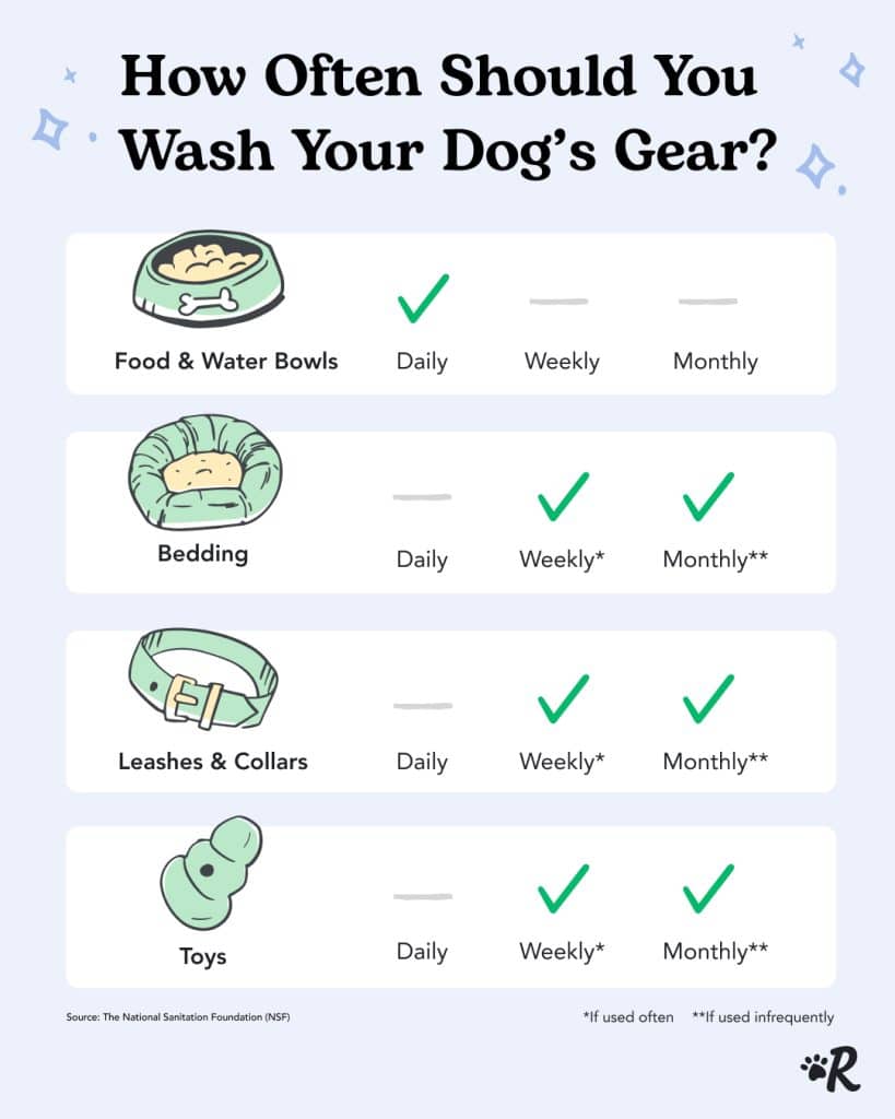 How to Wash Dog Toys and Gear So That They Actually Get Clean