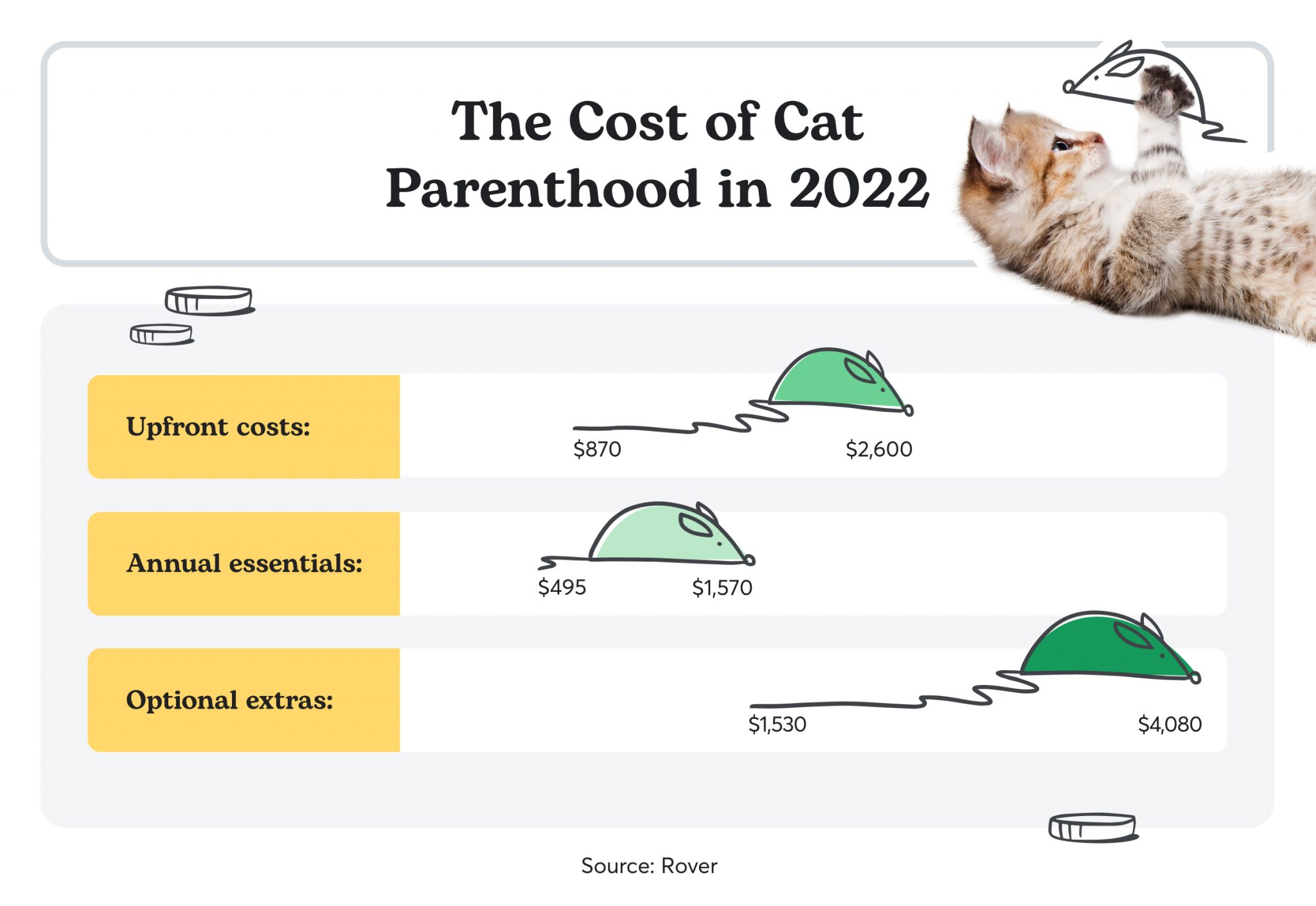 The Cost of Cat Parenthood in 2022 | Rover.com