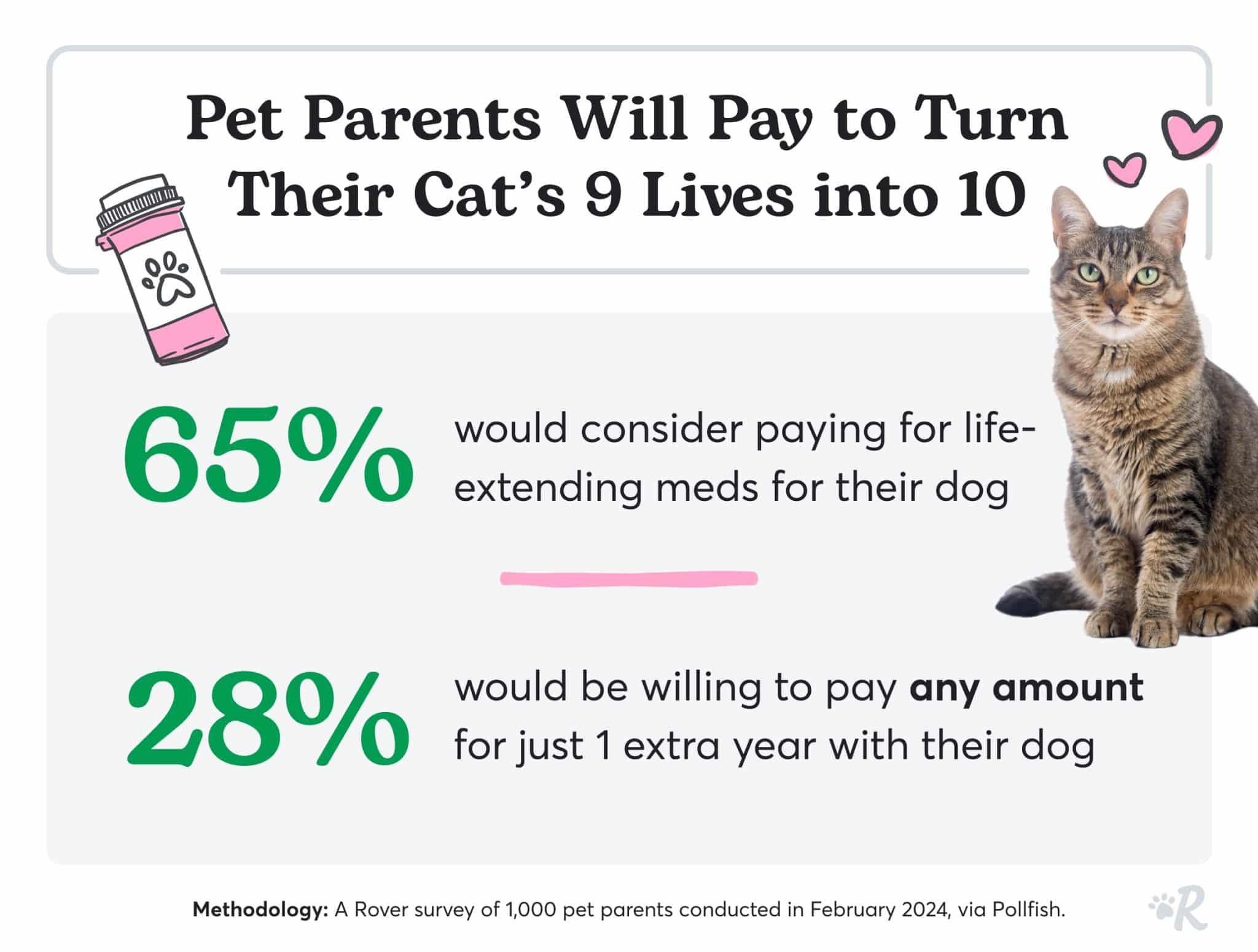 How Much Do Cats Costs? Annual, Monthly & More Expenses