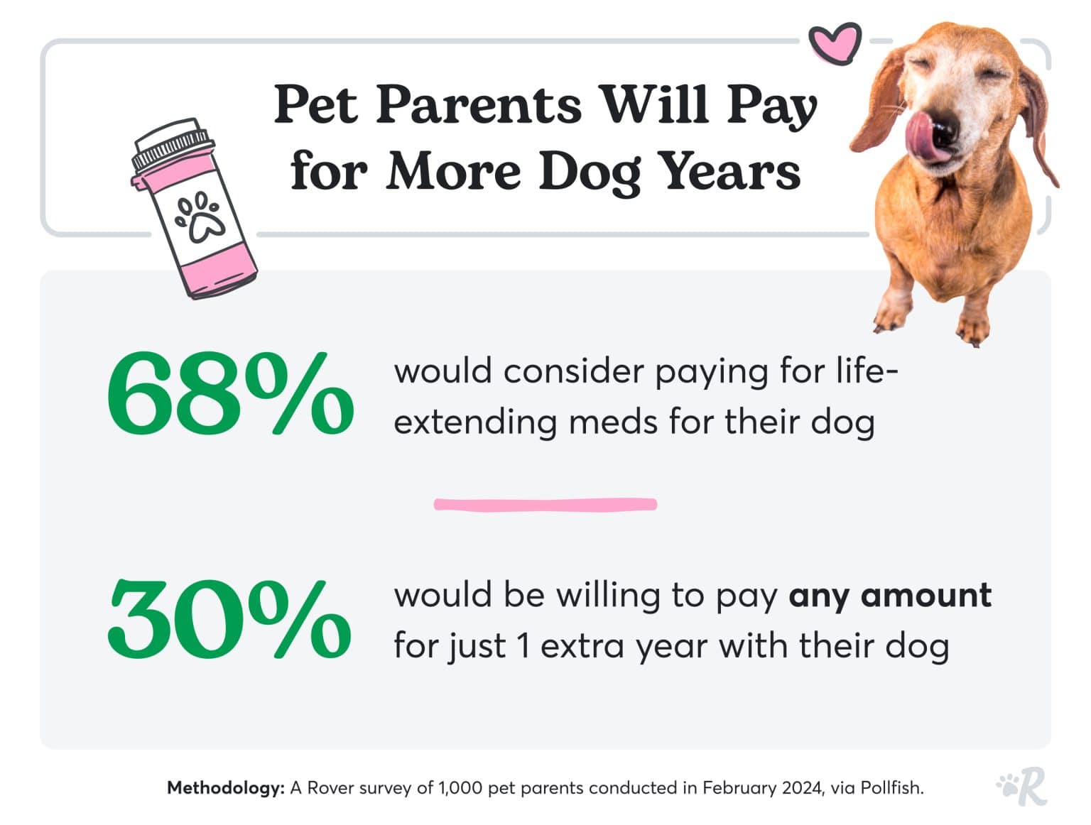 Cost of Owning a Dog: From Initial Cost to Annual Essentials