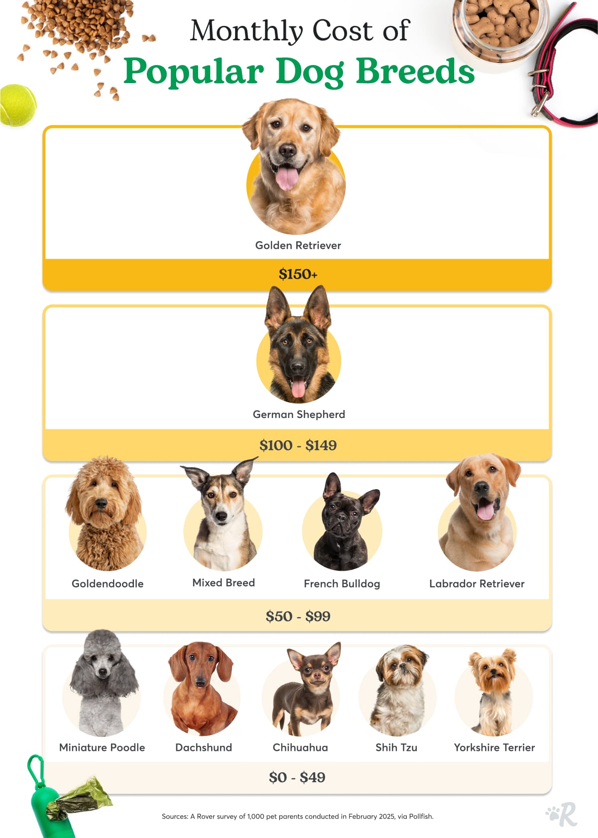 How Much Does a Dog Cost? Upfront, Annual, & Monthly Expenses