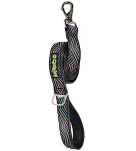 The 9 Best Dog Leashes for Hiking Adventures