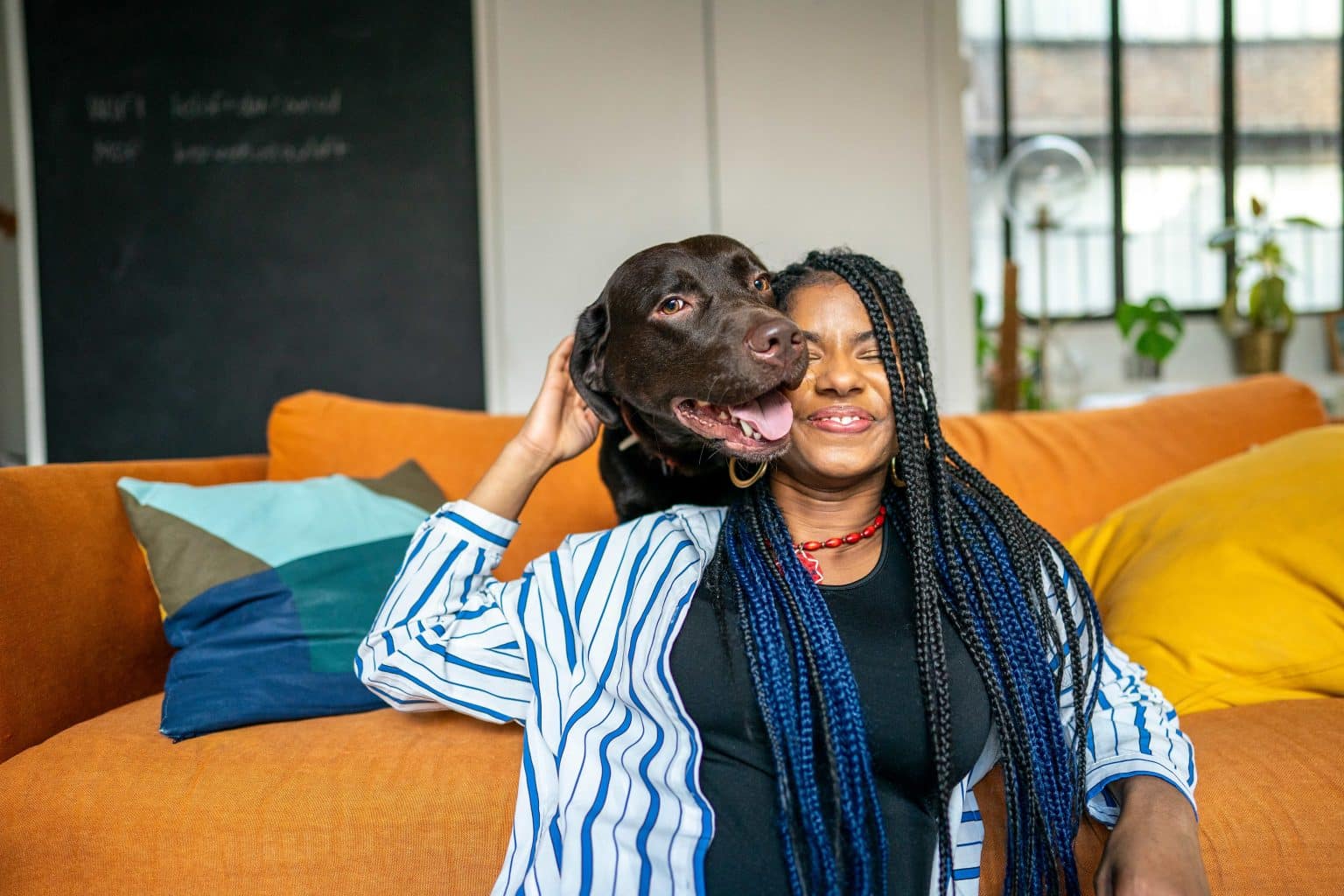 Are pet people better off? Science suggests yes. | The Rover Blog