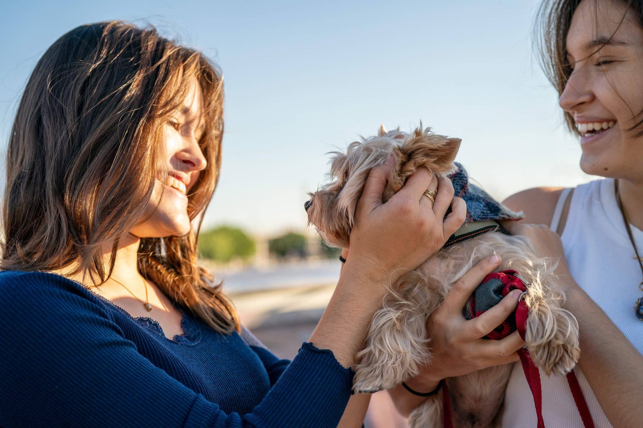 To Have and To Hold: a Pet Care Checklist for Partners | The Dog People ...