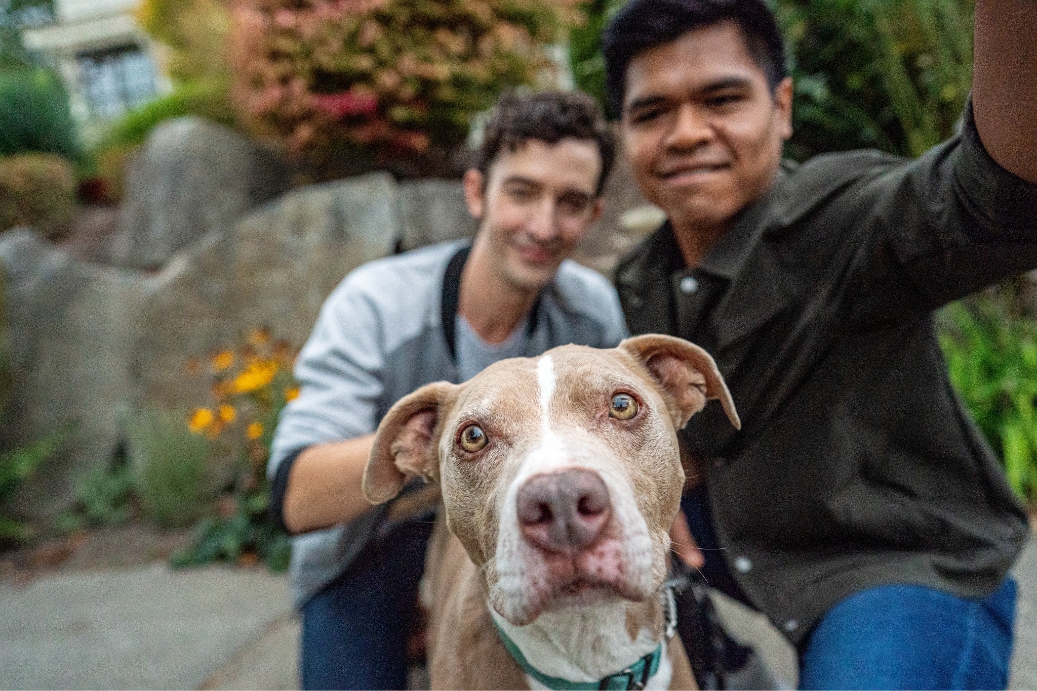 Your Dating Profile Might Need a (P)update | The Dog People by Rover.com