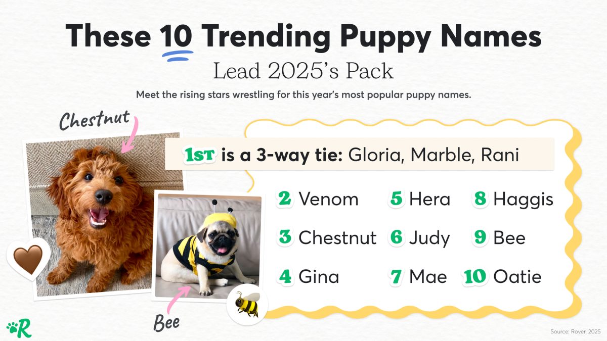 Which Dog and Cat Names Are Trending in 2025?
