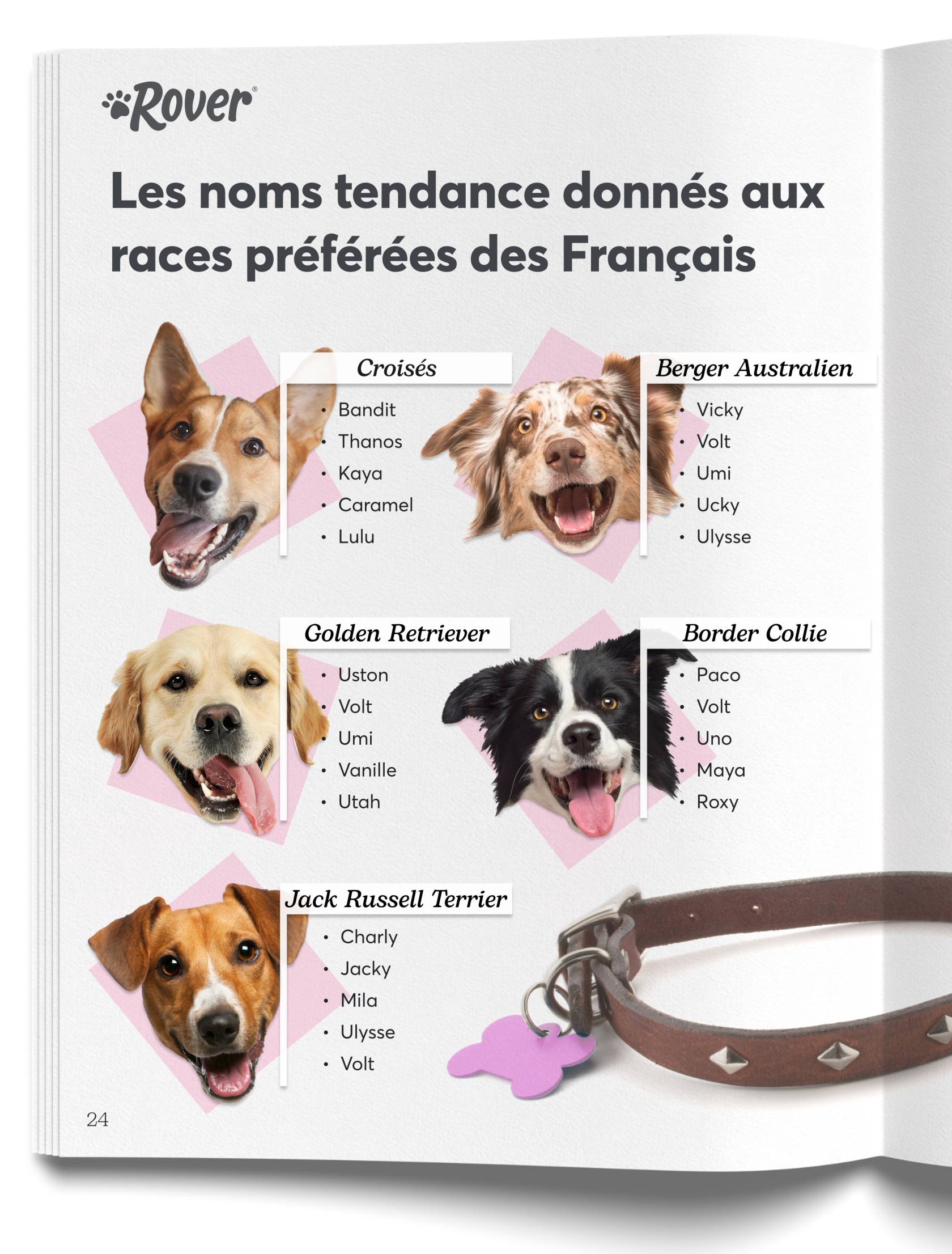 Noms De Chien Stylés [Top 100] – NQETJ