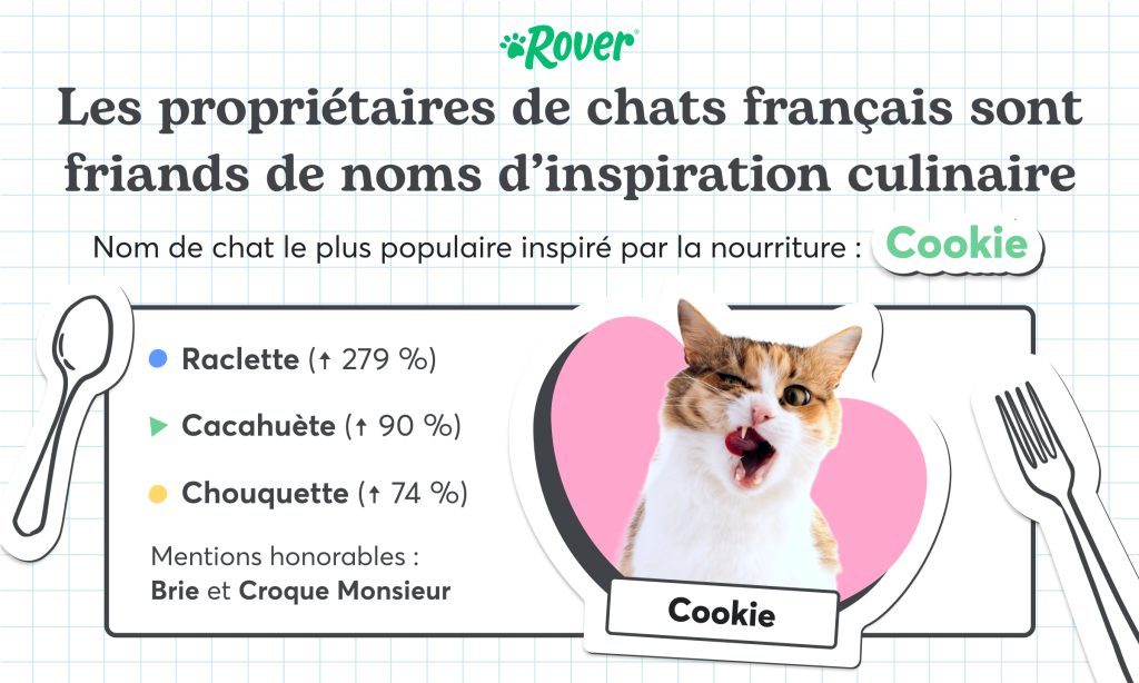 Quels noms de chat sont les plus populaires en France