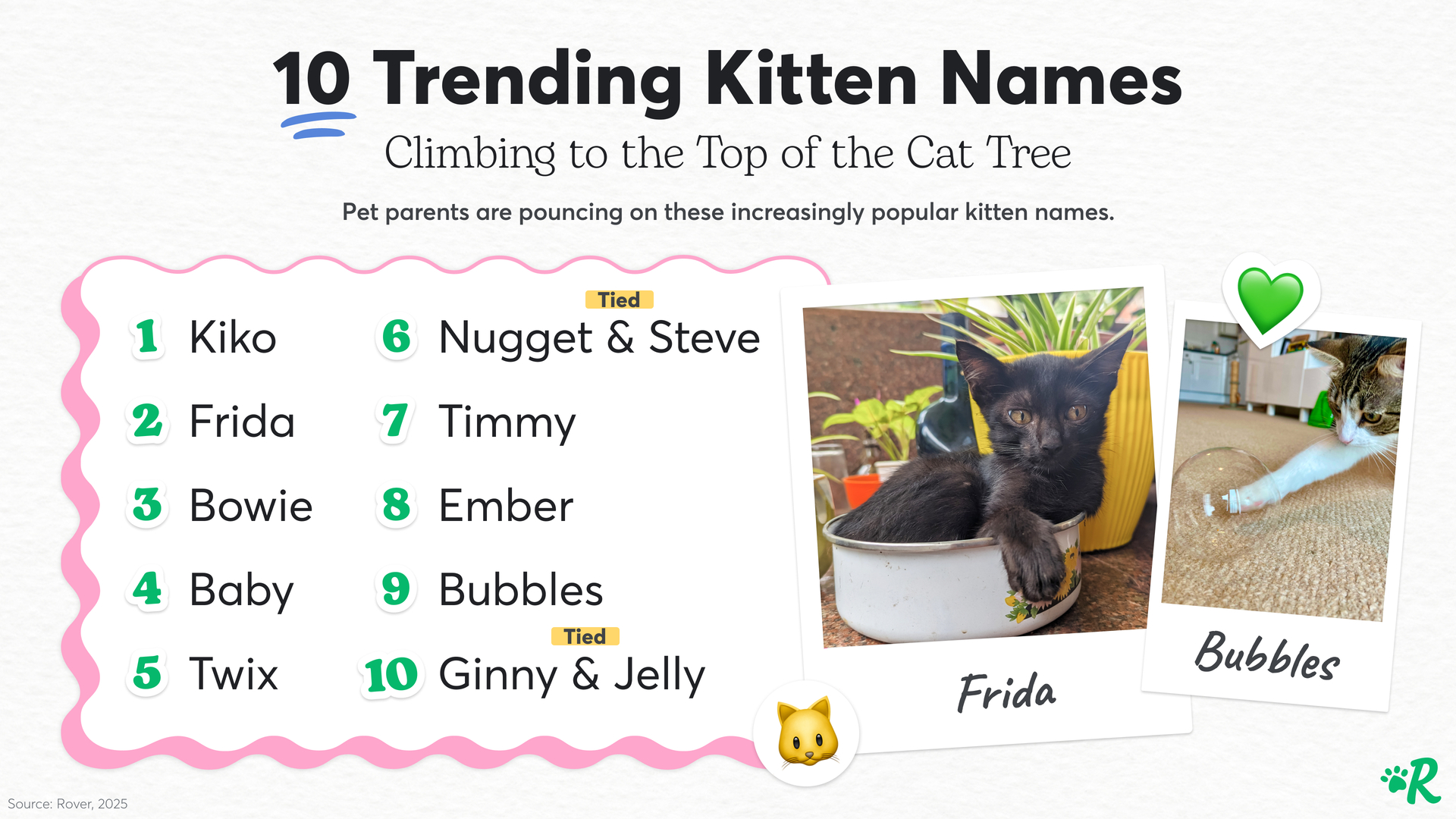 Which Dog and Cat Names Are Trending in 2025?