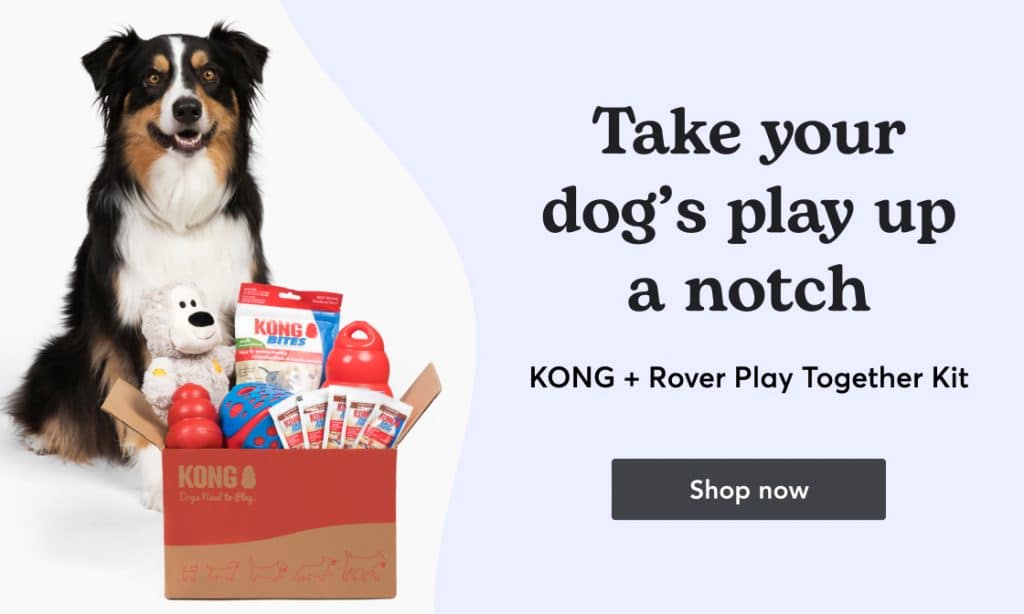 Welcome to the Rover Fetch List | The Dog People by Rover.com