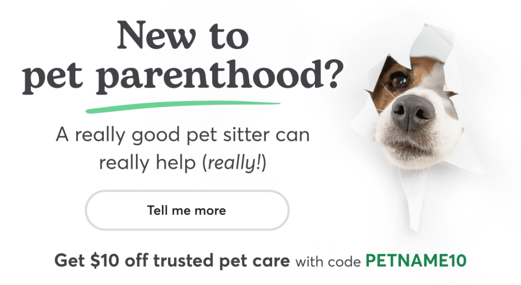 How Many Dog Breeds Are There in the World?