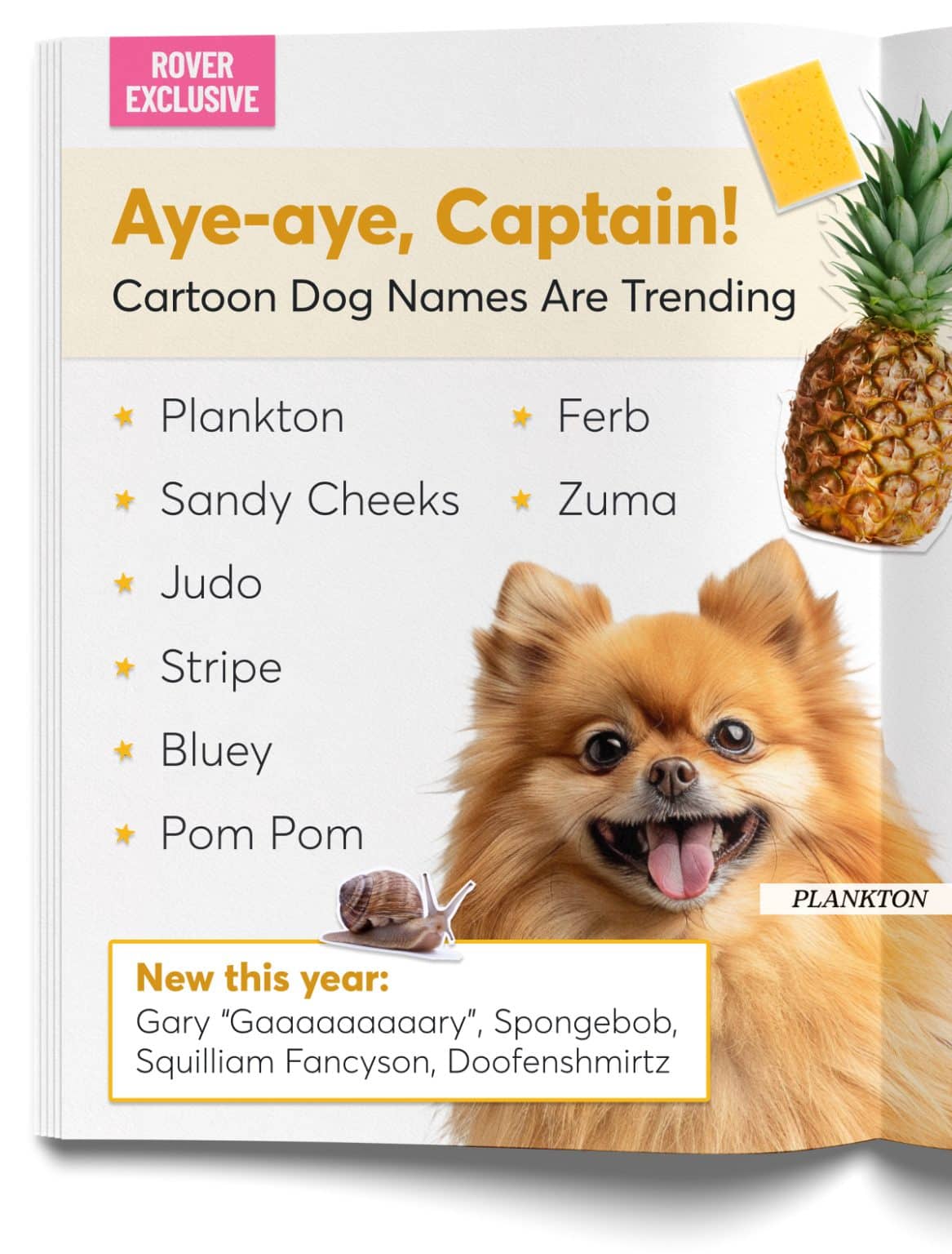 Most Popular Dog Names in the USA