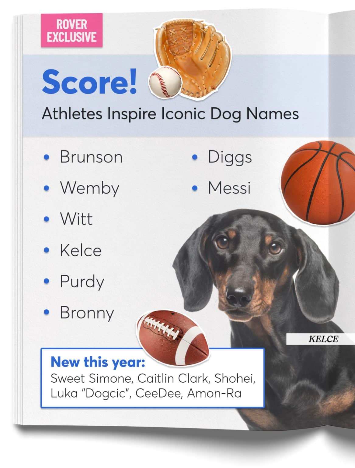 Most Popular Dog Names in the USA