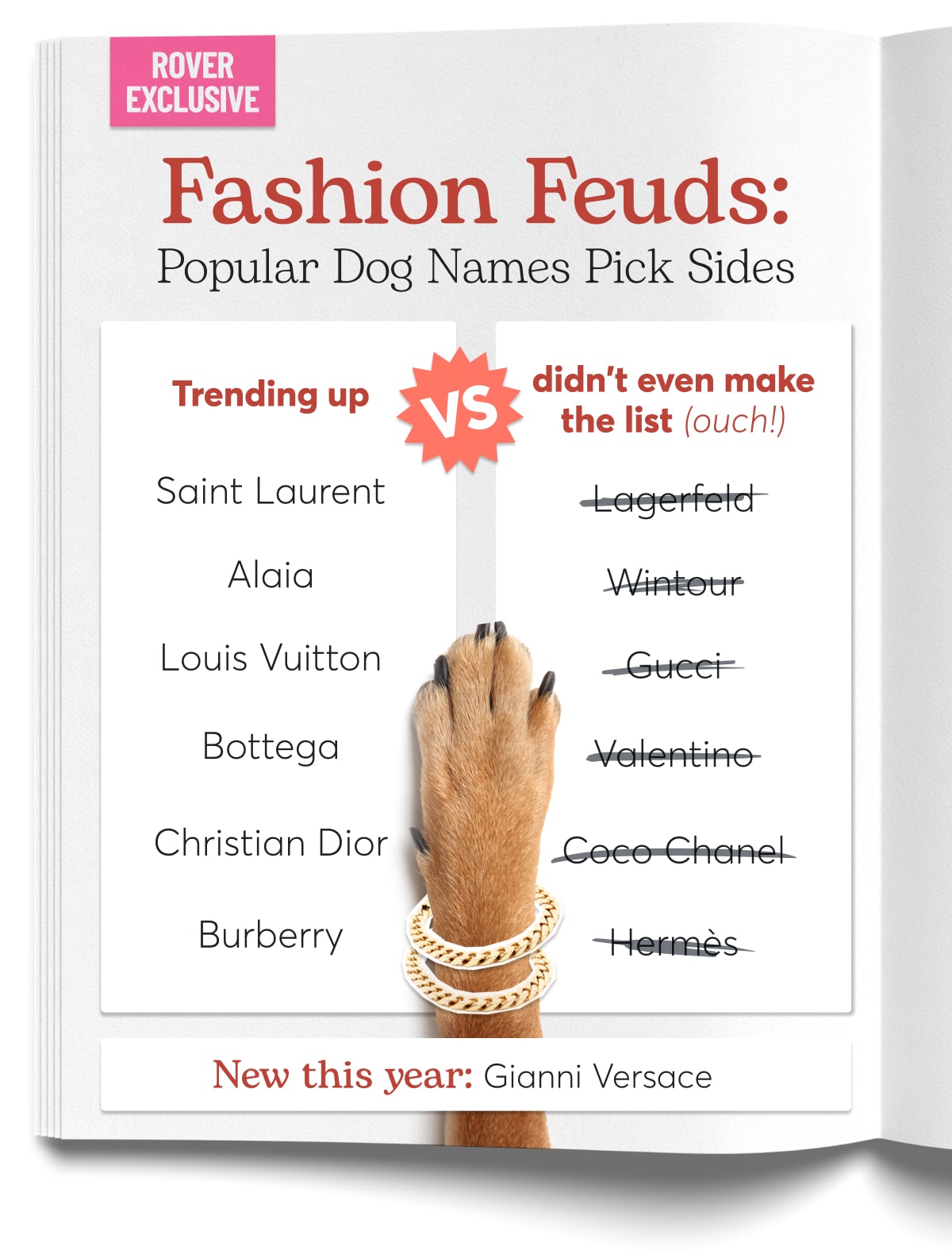 Most Popular Dog Names in the USA