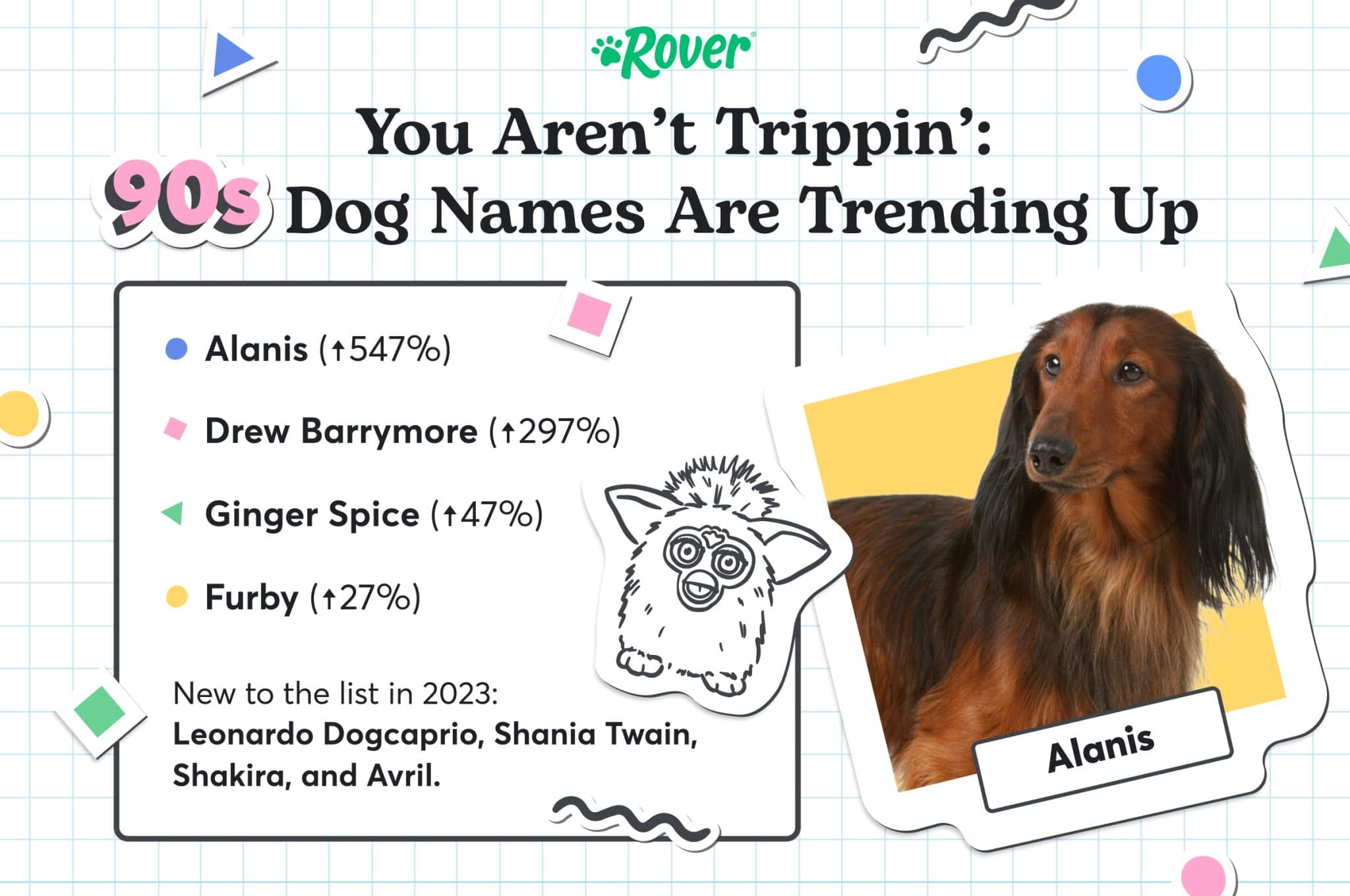 Most Popular Dog Names in the USA