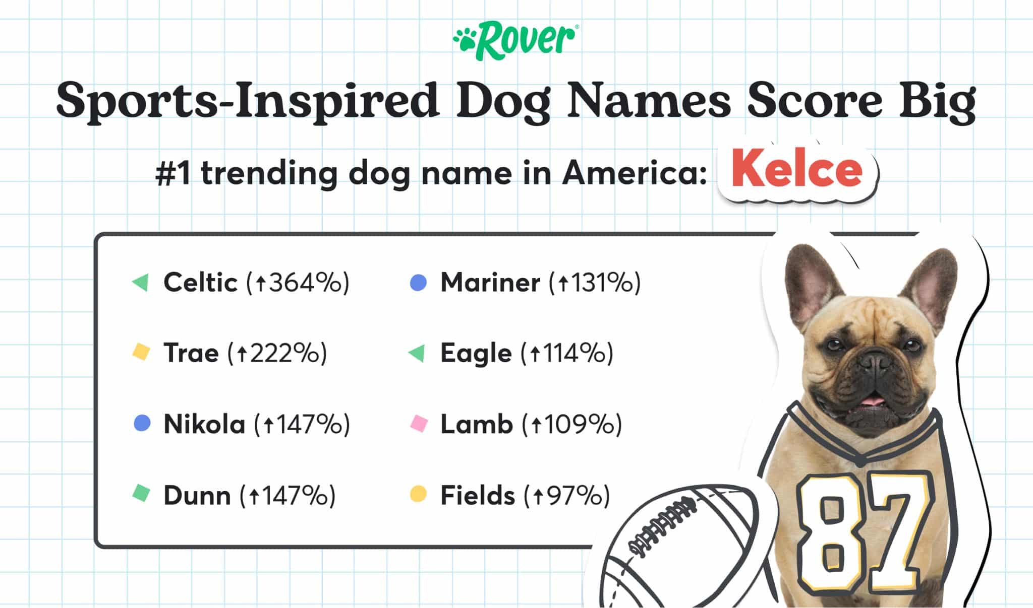 Most Popular Dog Names in the USA