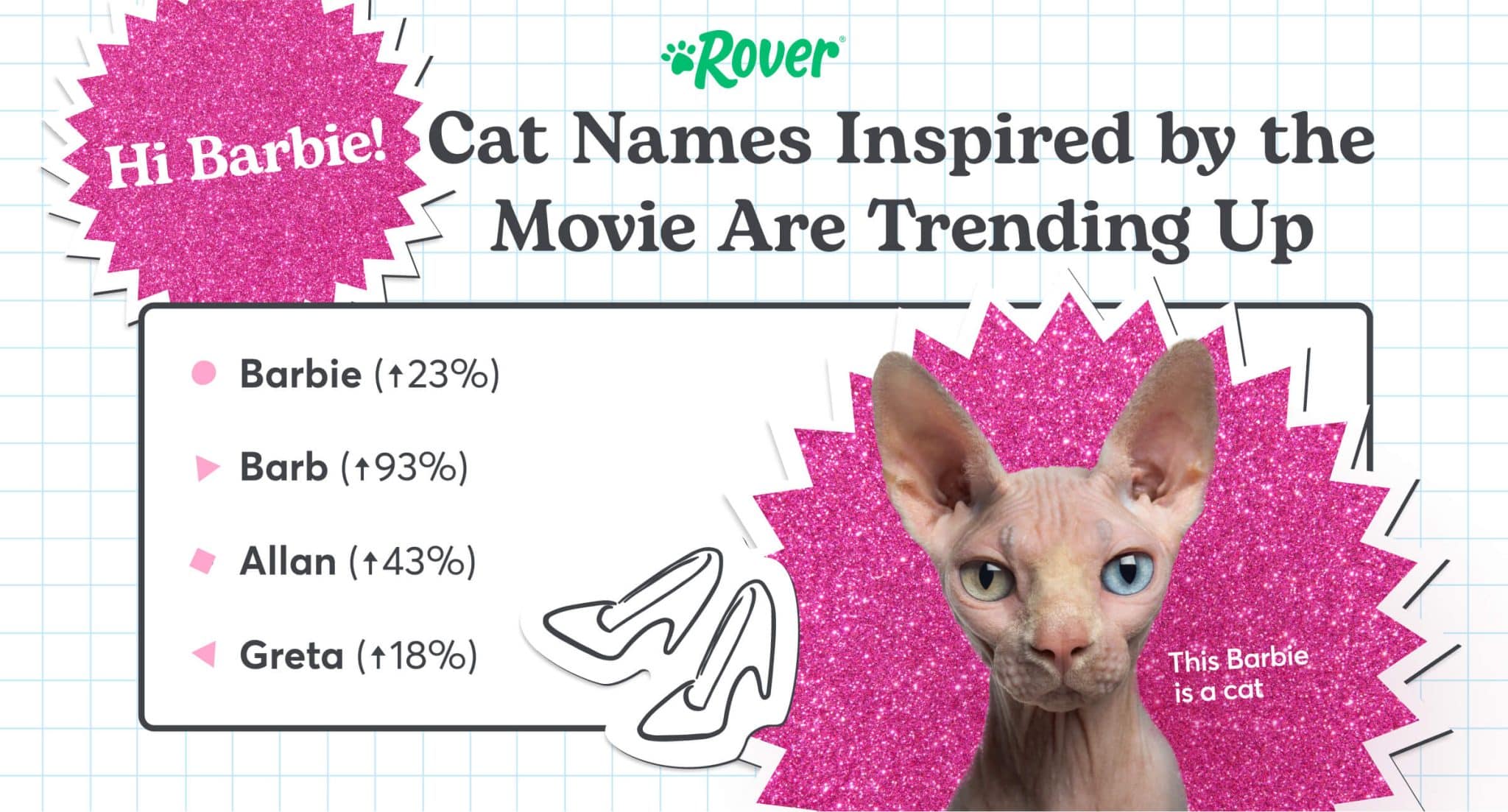 Most Popular Cat Names in the USA