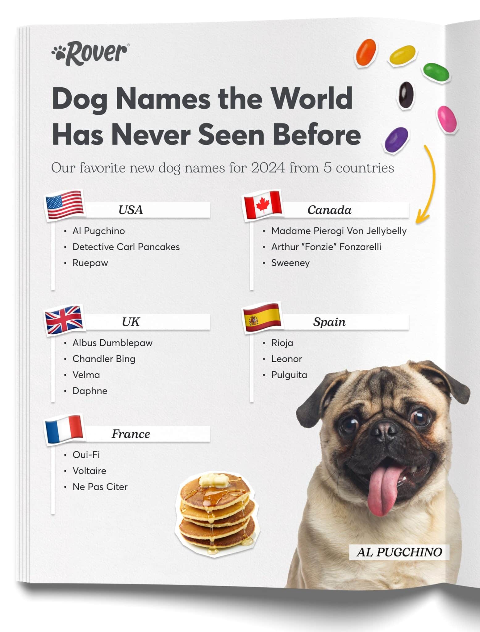 Most Popular Dog Names in the USA