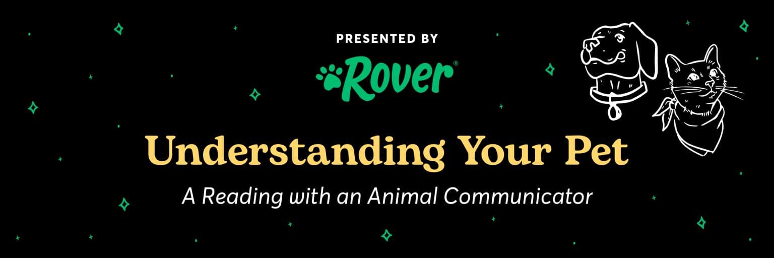 | The Dog People by Rover.com