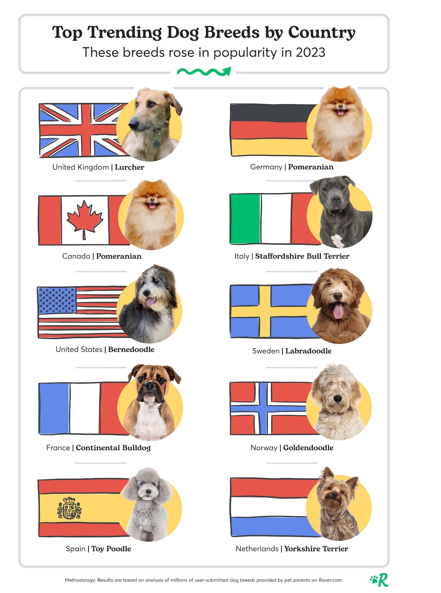 The Most Popular Dog Breeds in the UK