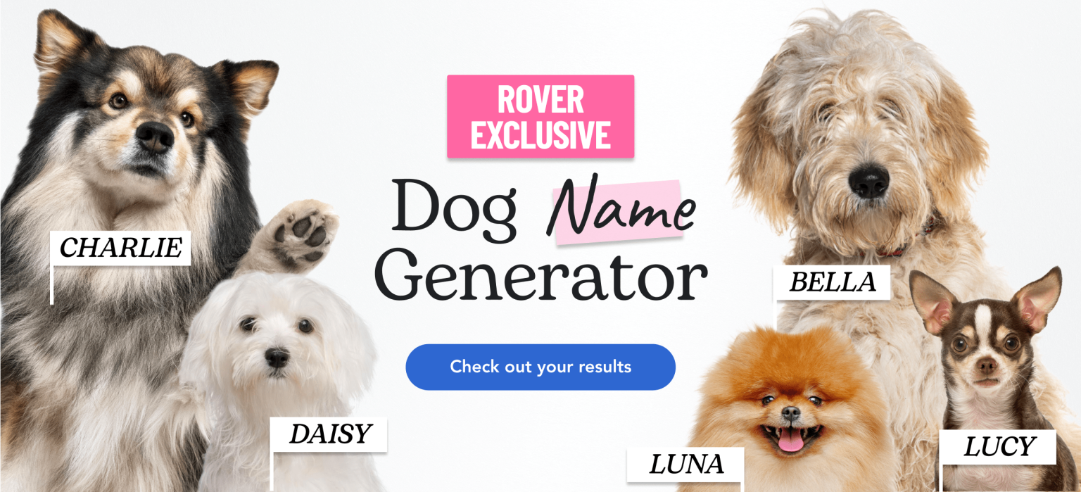 Most Popular Dog Names in the USA