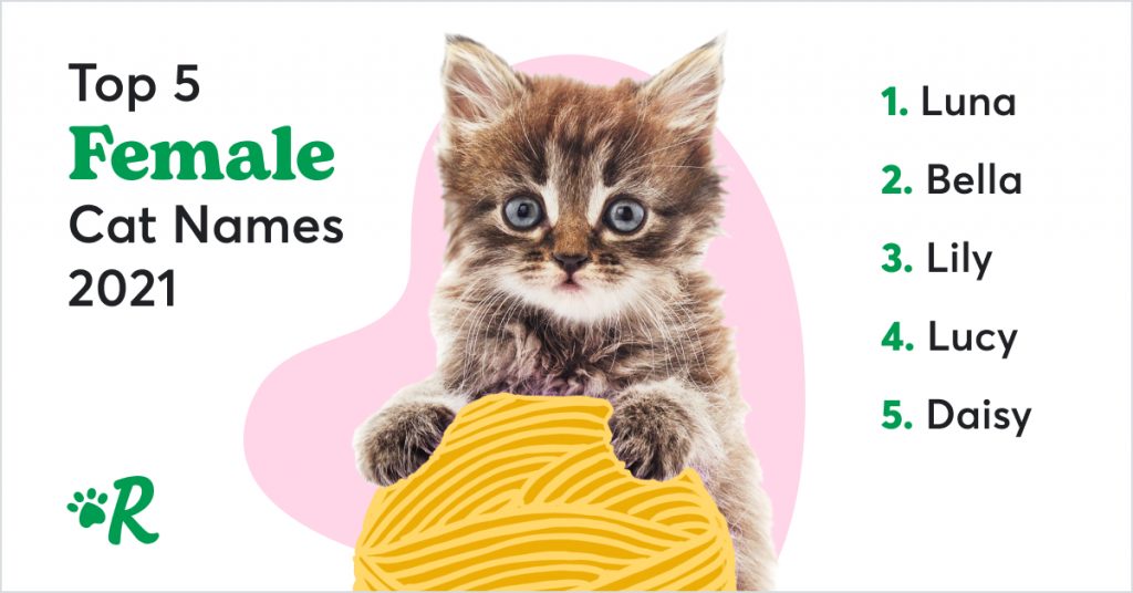 Here s A List Of Canada s Most Popular Dog And Cat Names In 2021 here-s-a-list-of-canada-s-most-popular-dog-and-cat-names-in-2021