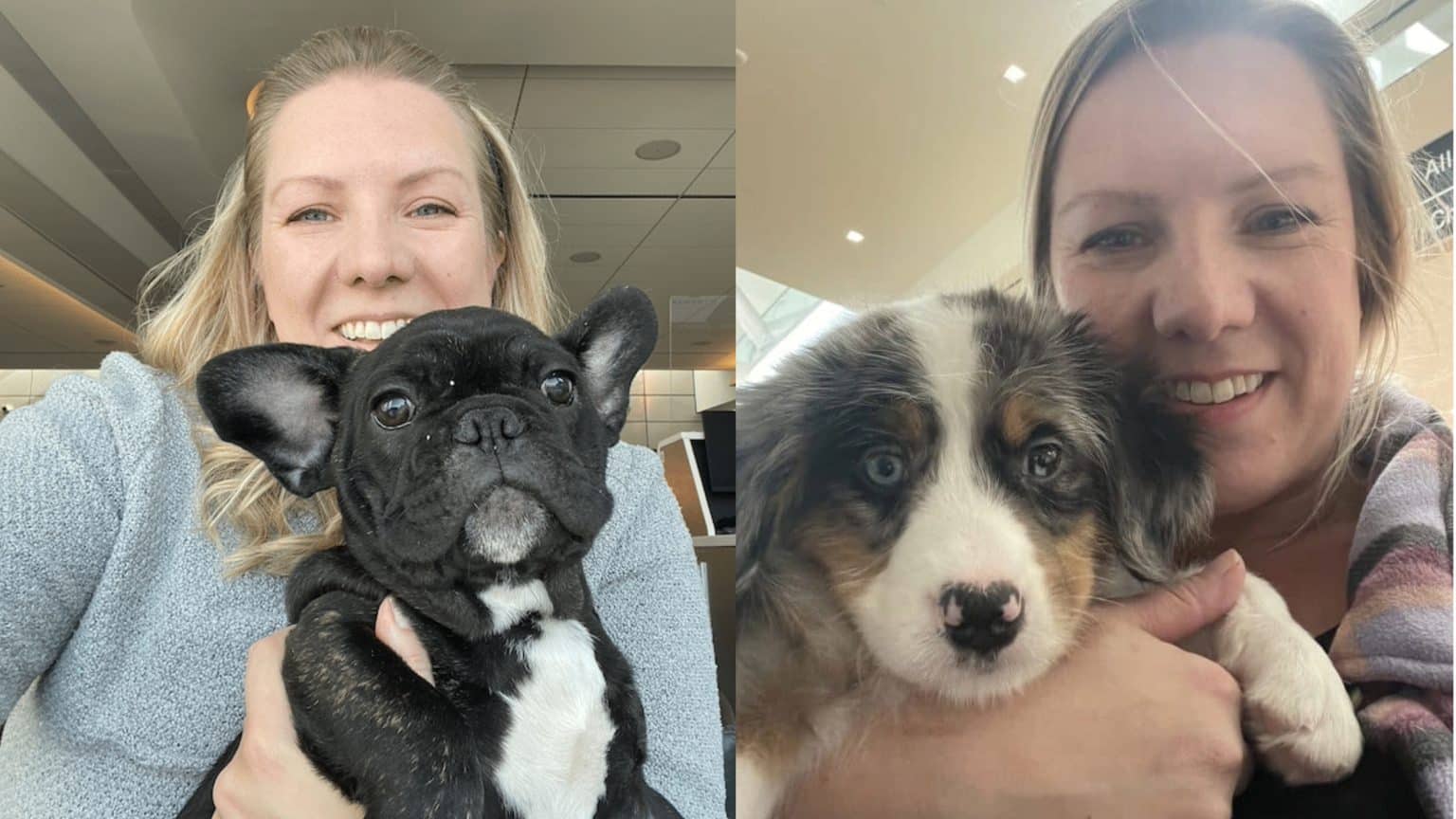 Meet a 'Flight Nanny' Who Travels the Globe Escorting Pets on Planes