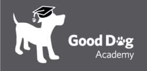 6 Dog Training Courses for Professionals