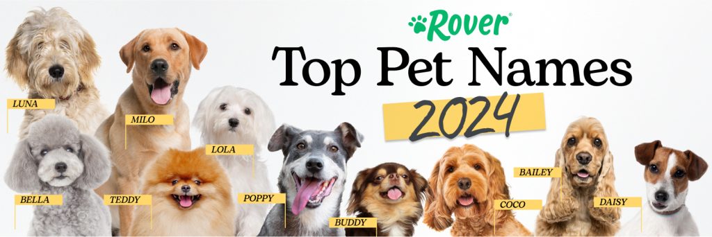 Most Popular and Trending Dog Names in the UK
