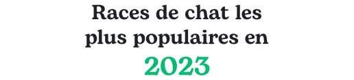 Les races de chats préférées des Français