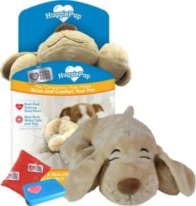 The 6 Best Dog Heartbeat Toys to Help Calm Anxious Pups