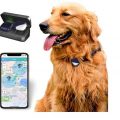 8 Best Dog GPS Trackers & Collars Reviewed: Pros & Cons