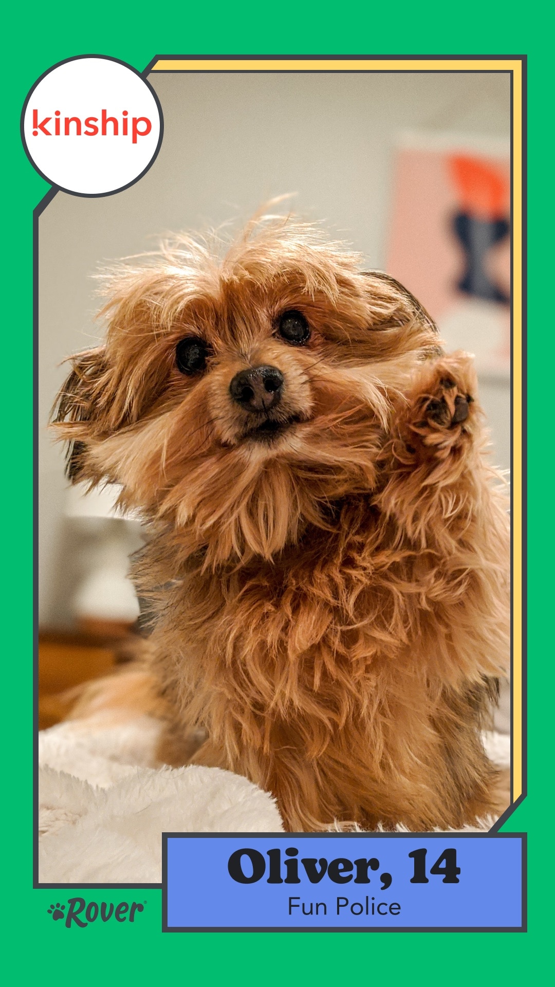 America's Favorite Office Dog Contest 2022 | Rover.com