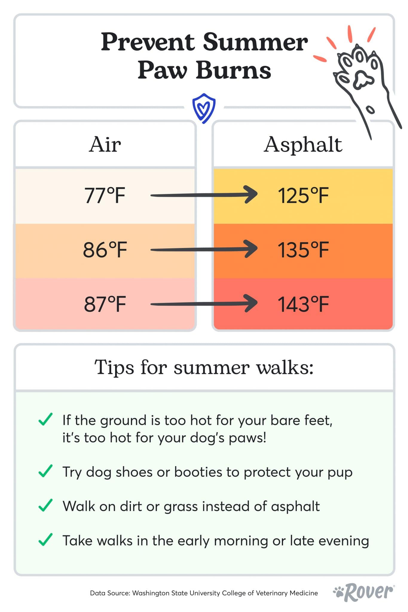 Summer Tips for Pets: A Safety Guide for Pet Parents